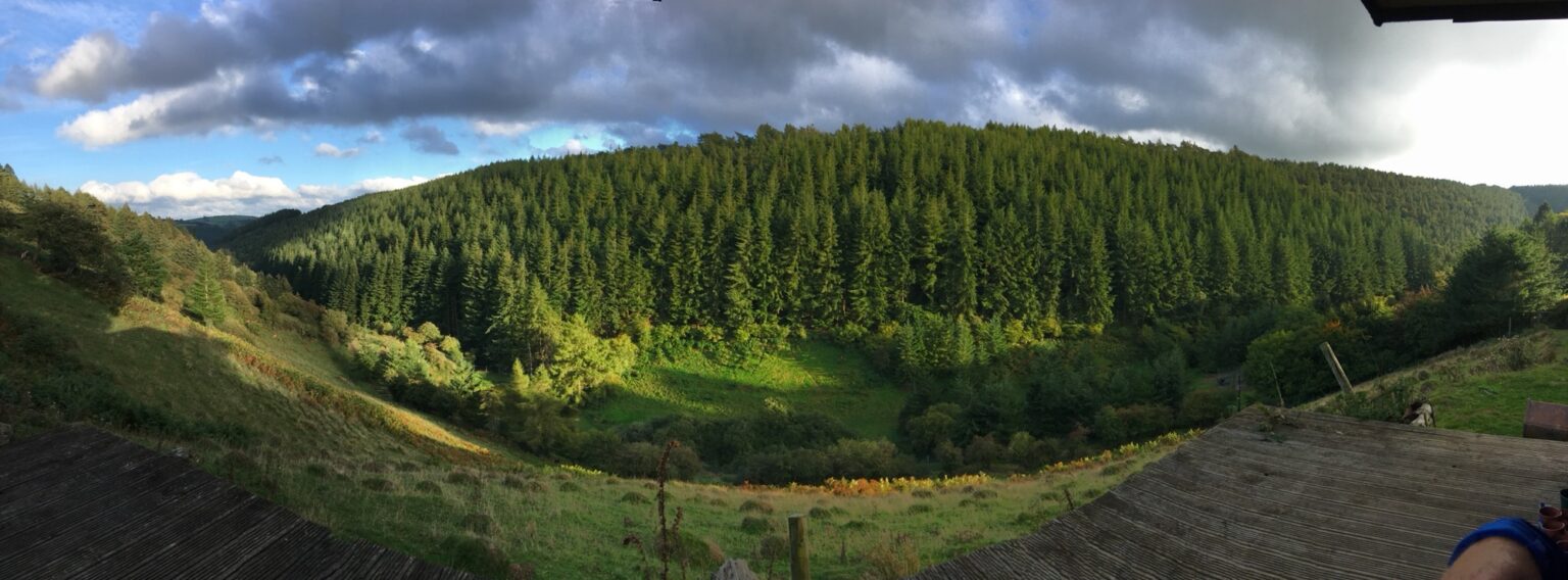 The Centre | Our Story | Wolf Watch