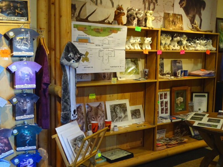 The Centre | Our Story | Wolf Watch