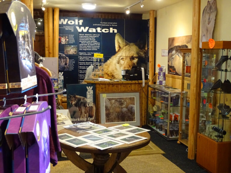 The Centre | Our Story | Wolf Watch